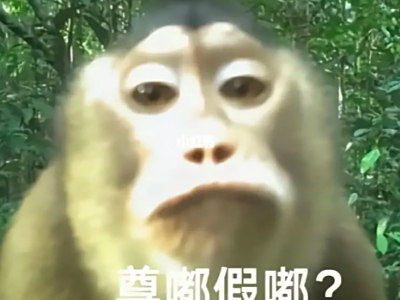 尊嘟假嘟表情包 尊嘟假嘟表情包图片分享 特玩网