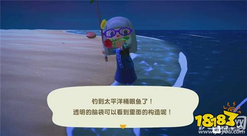 动物森友会太平洋桶眼鱼获取方法介绍_18183.com