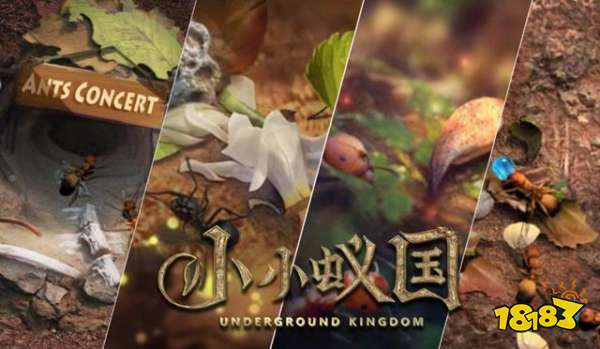 小小蚁国兑换码大全 最新礼包cdk兑换码分享_18183.com