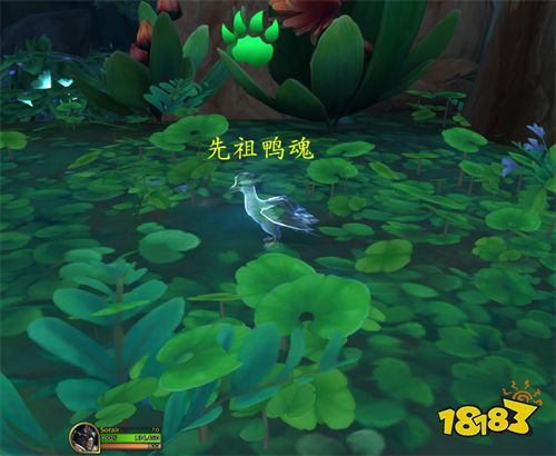 魔兽世界10.0先祖鸭魂获得方法_18183.com