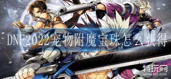 DNF2022宠物附魔宝珠怎么获得_特玩网
