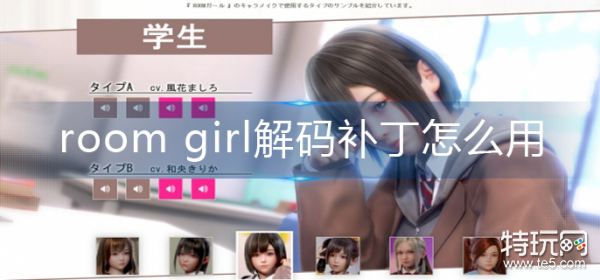 room girl解码补丁怎么用_特玩网