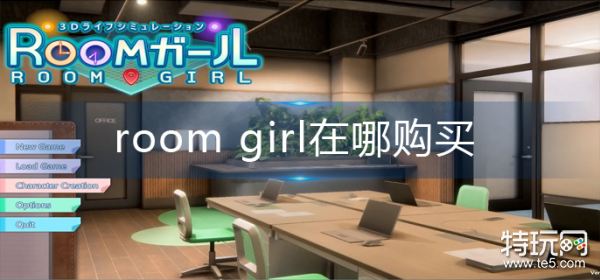 room girl在哪购买_特玩网