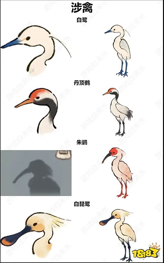 《桃源深处有人家》怎么辨认鸟类 辨认鸟类攻略_18183.com