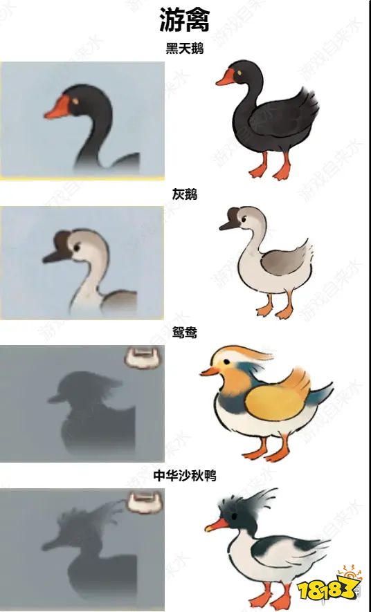 《桃源深处有人家》怎么辨认鸟类 辨认鸟类攻略_18183.com