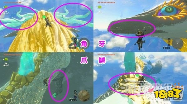《塞尔达传说王国之泪》白龙移动路线及素材获取方法_18183.com