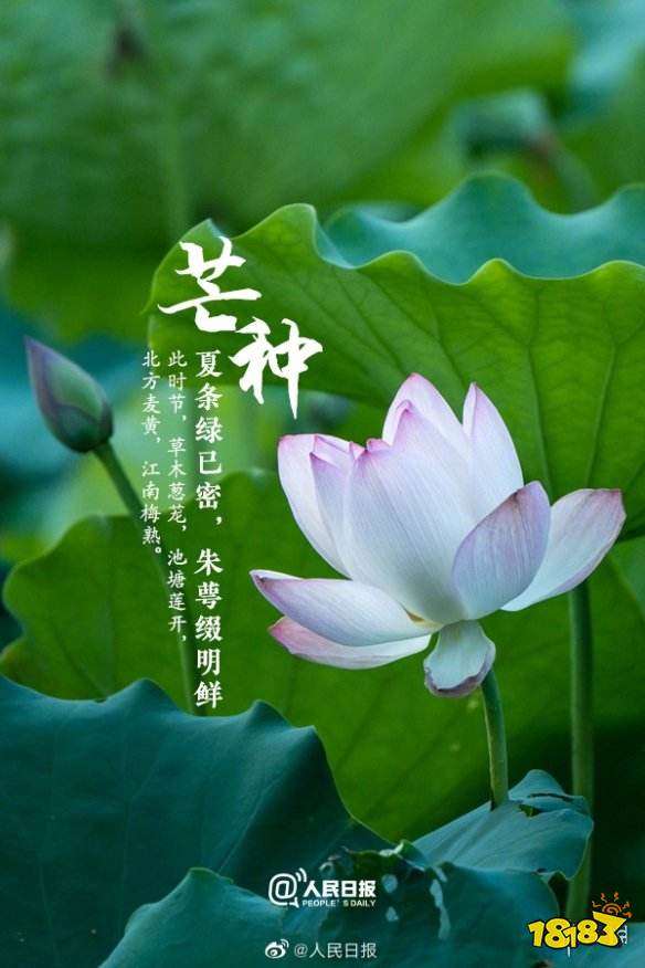 芒种节气的含义 芒种节气的特点和风俗_18183.com