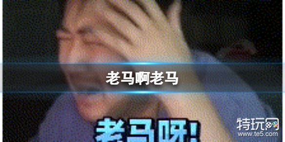 老马啊老马表情包 老马啊老马茄子表情包图片_特玩网