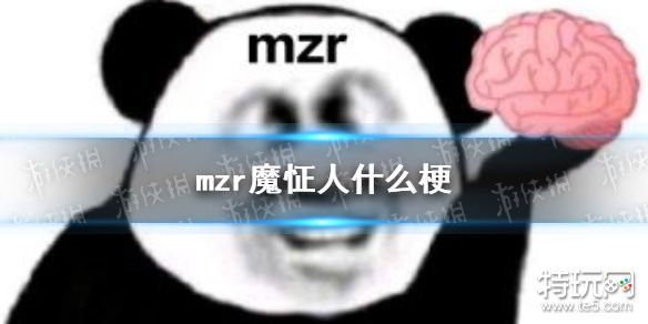 mzr是什么梗 mzr魔怔人梗介绍_特玩网