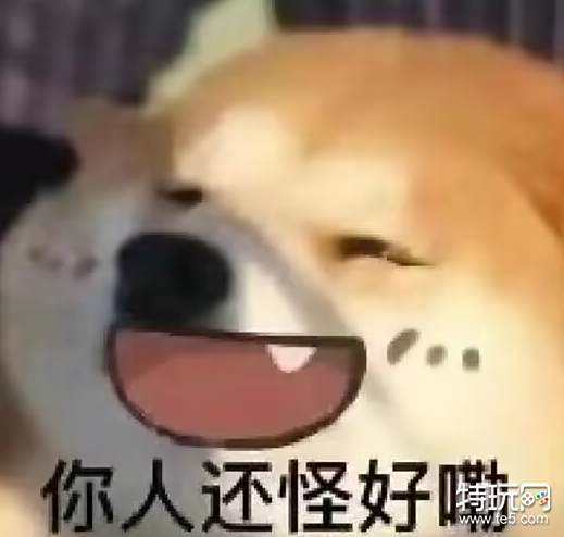 你人还怪好嘞英语怎么说 你人还怪好嘞英文说法 特玩网