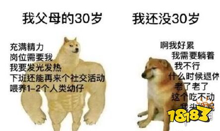 谢谢你cheems什么梗 谢谢你cheems介绍_18183.com