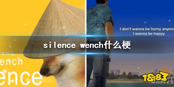 silence wench什么梗 silence wench原版视频分享_18183.com
