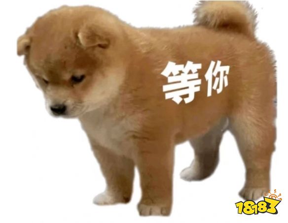 四六级站岗小狗是什么梗 四六级站岗小狗梗介绍_18183.com