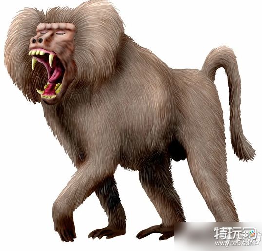 《博德之门3》狒狒怪物图鉴 有哪些怪物_特玩网